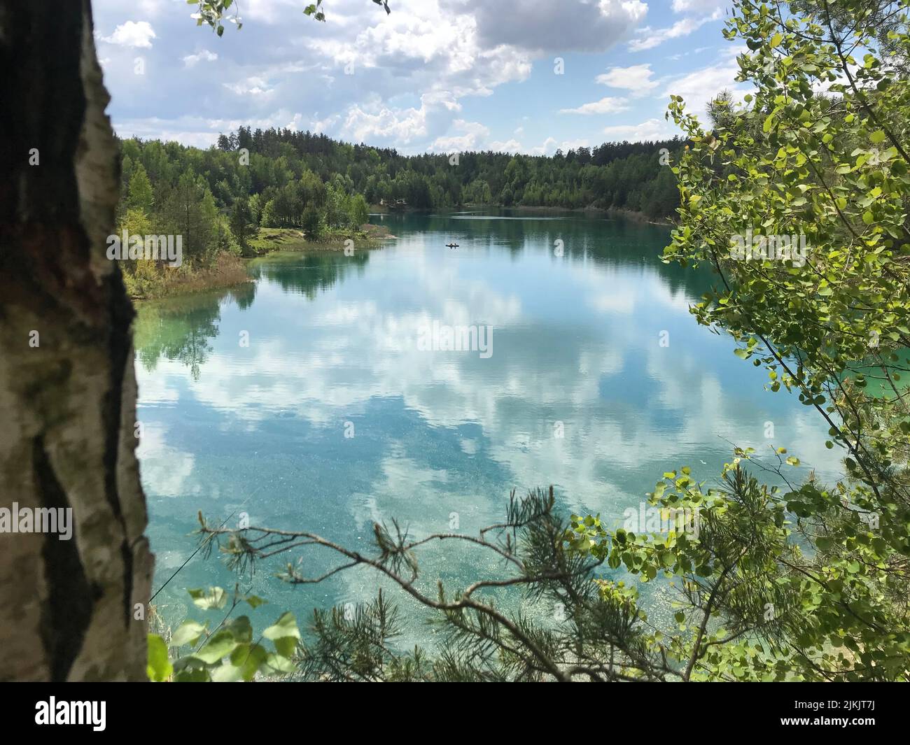 The beautiful nature in a park in Tel Aviv, Israel Stock Photo - Alamy