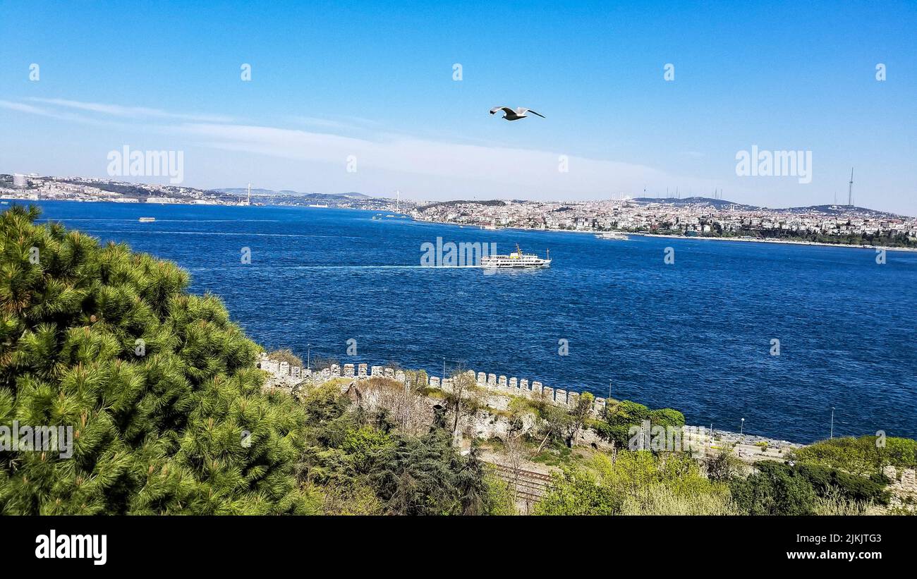 A beautiful view of Bosphorus bay with a seagull flying under blue sky ...