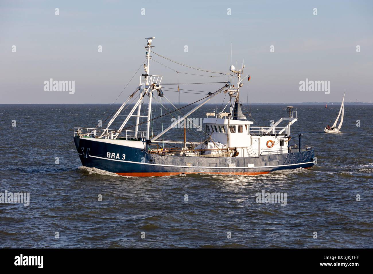 River shrimp hi-res stock photography and images - Alamy