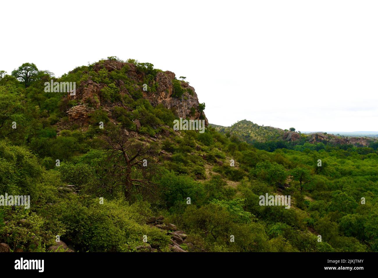 A landscape, hill covered with greenery after rain Stock Photo - Alamy