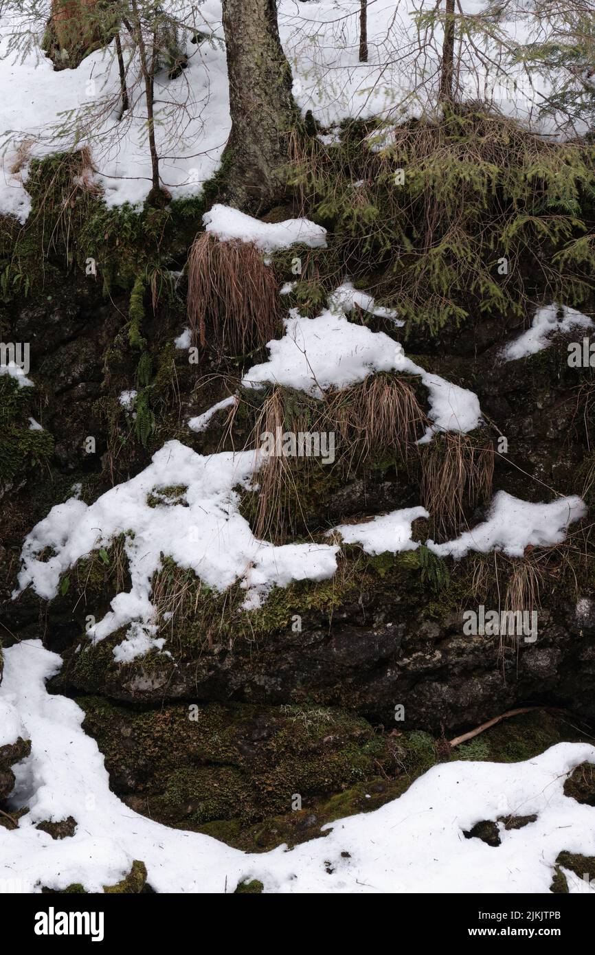 Tropical mountain slope hi-res stock photography and images - Alamy