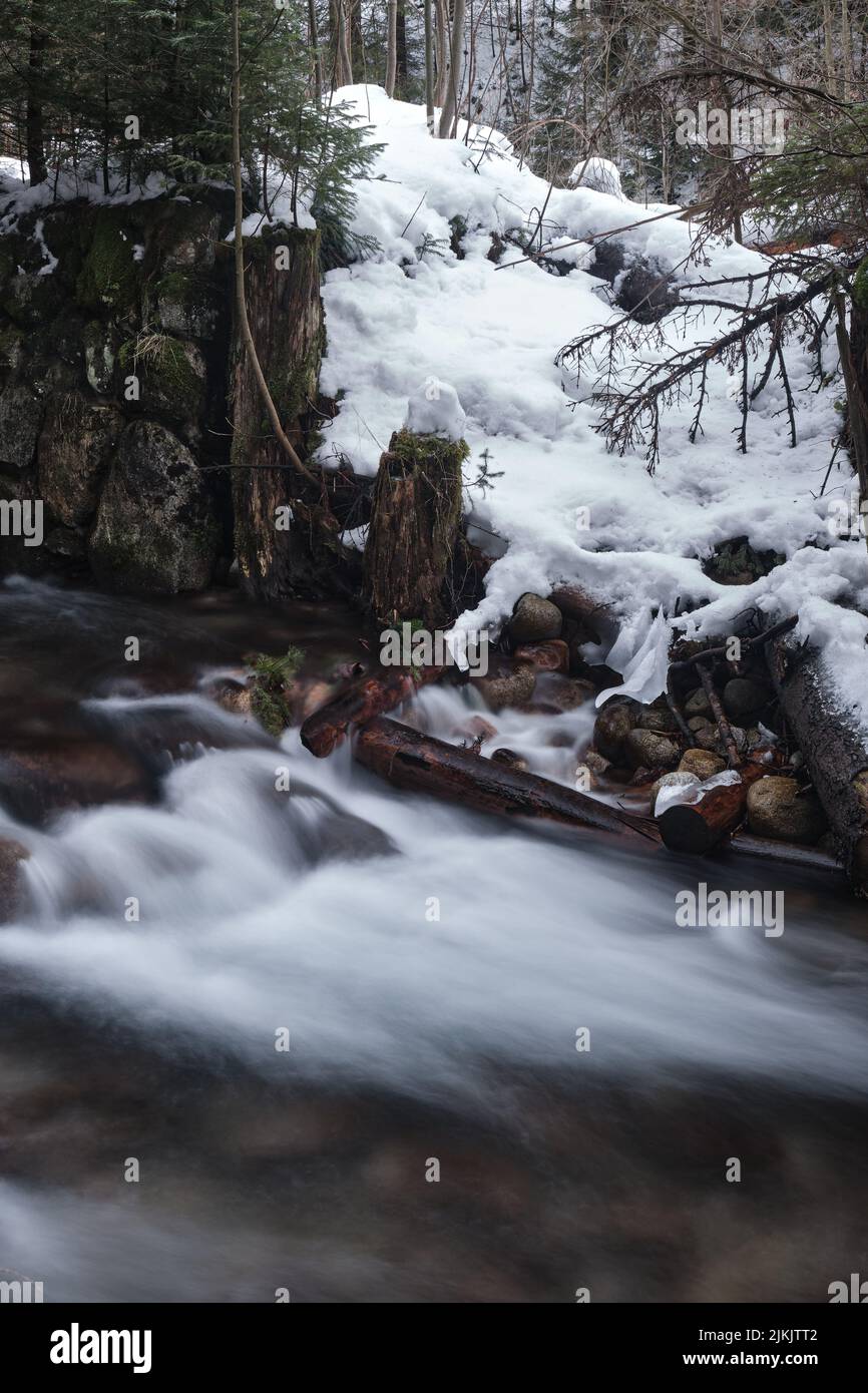 A vertical shot of a beautiful flow of a mountain river with fast ...