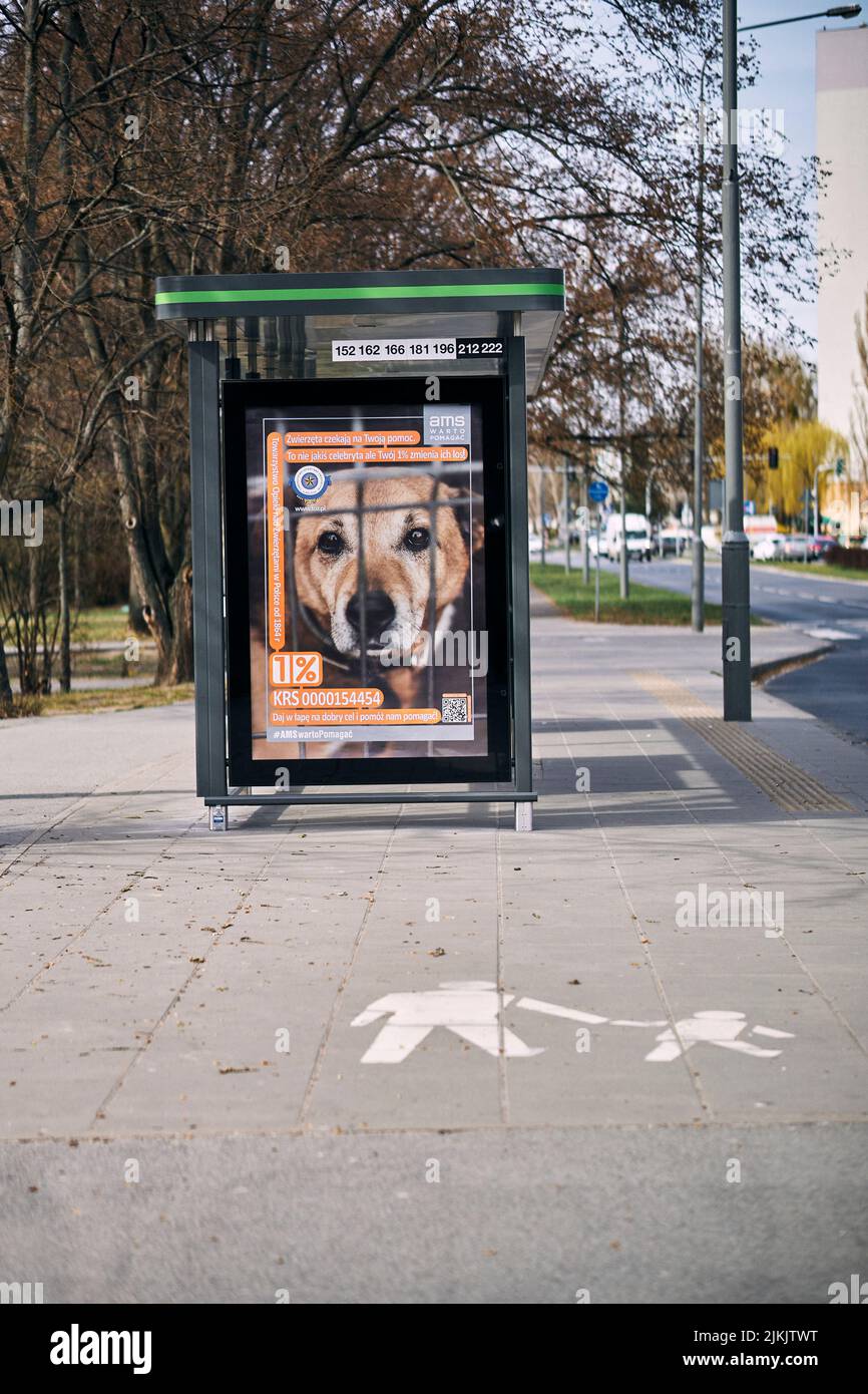 A closeup of a footpath by a bus stop with a dog billboard on ...