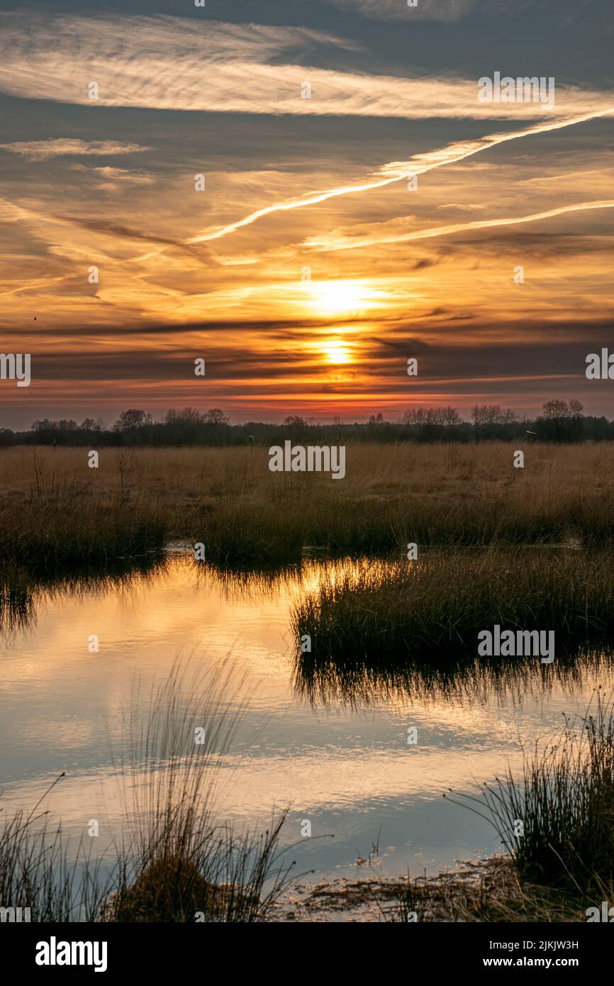 A vertical scene of water with wild grass against a sunset cloudy sjy ...