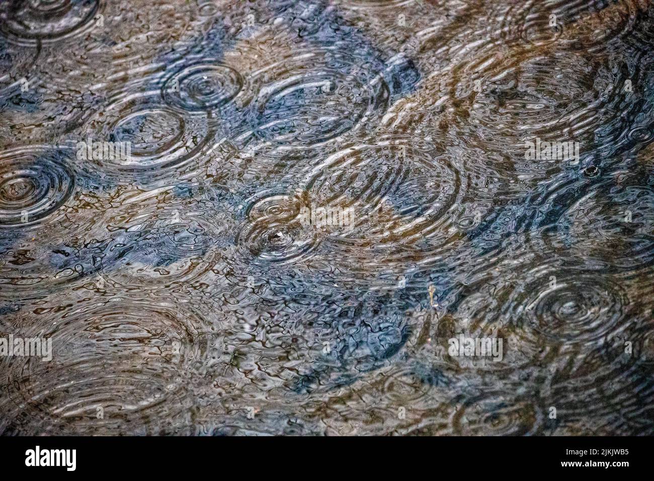 A closeup of a rain water ripple Stock Photo - Alamy