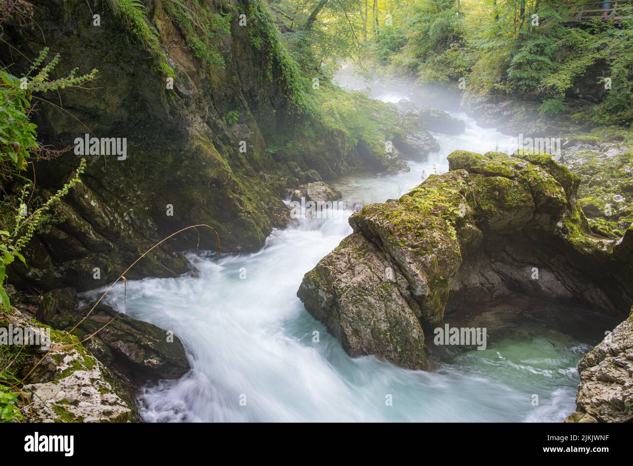 Long exposure forest river hi-res stock photography and images - Alamy