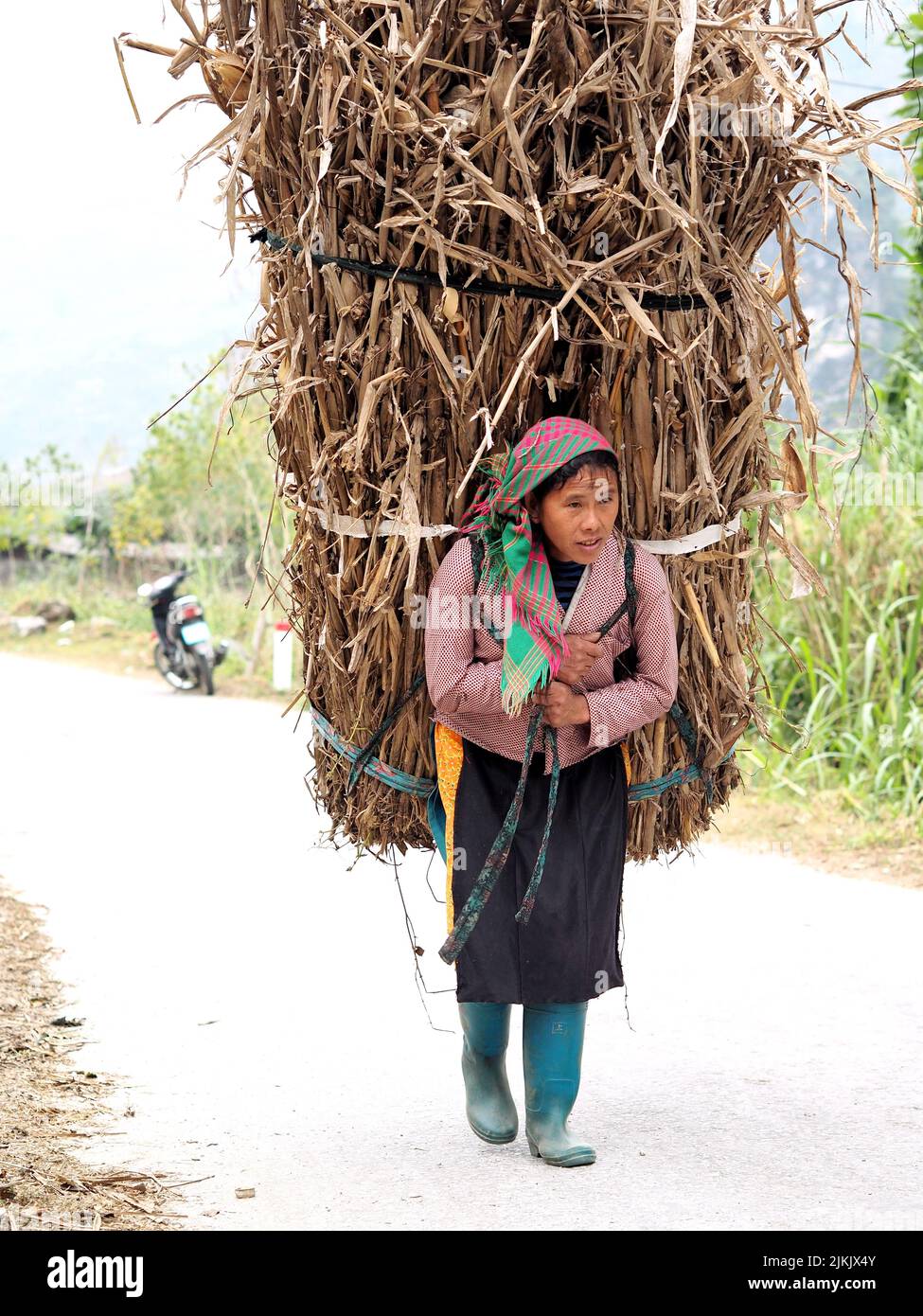 A vertical closeup shot of a female carrying heavy crops of harvest in ...