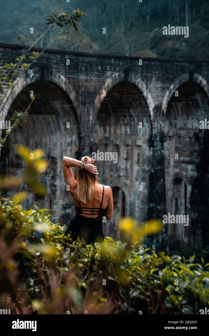 A vertical back view of a female in an open back dress posing near Nine ...
