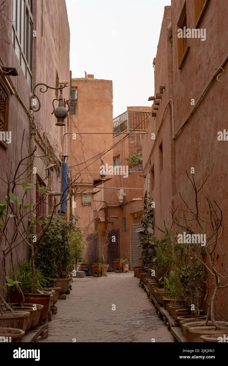A vertical shot of an old narrow path with plants in the pots and ...