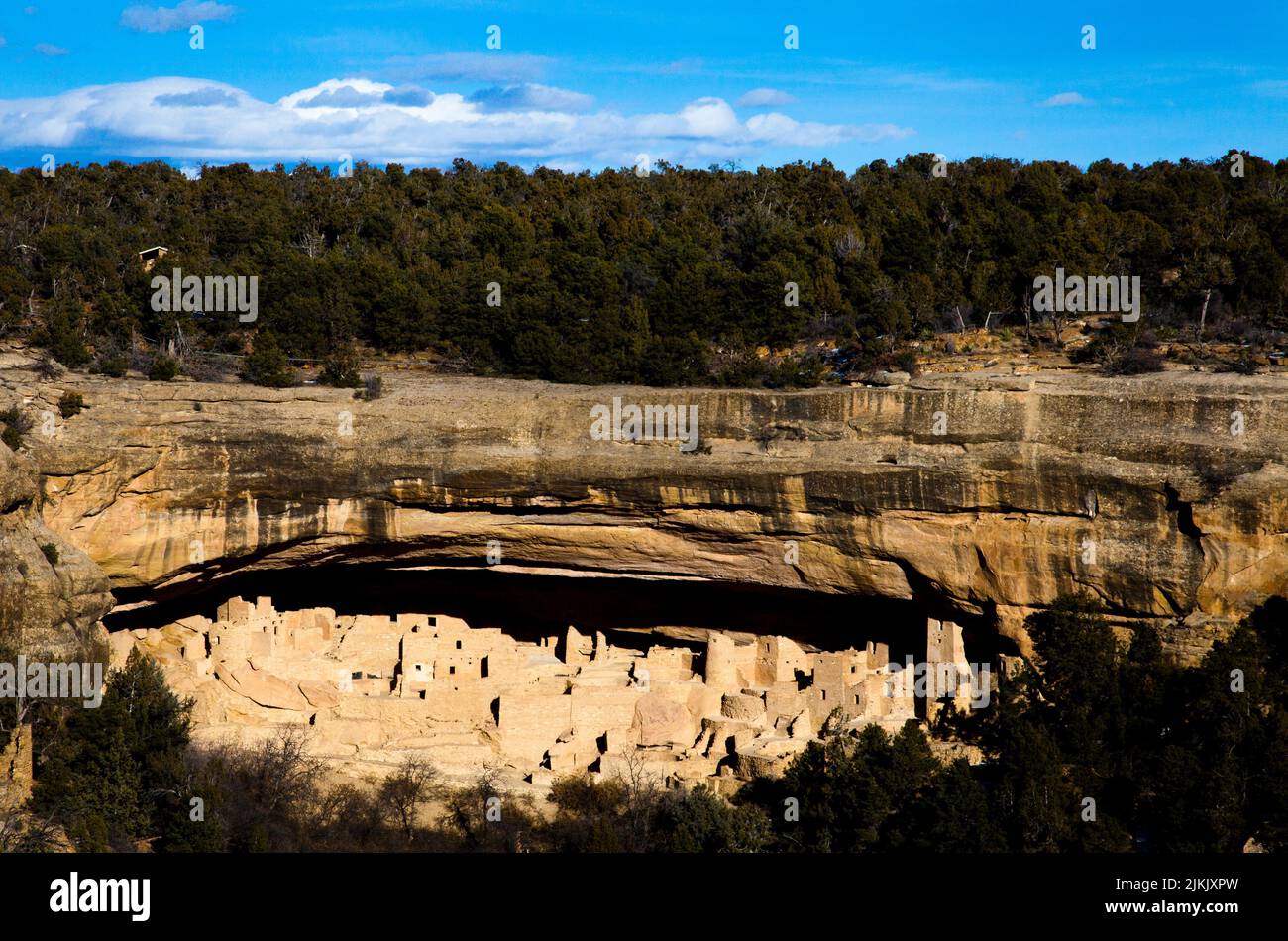Cliff Palace view point overlooks cliff dweller ruins. Mesa Verde ...