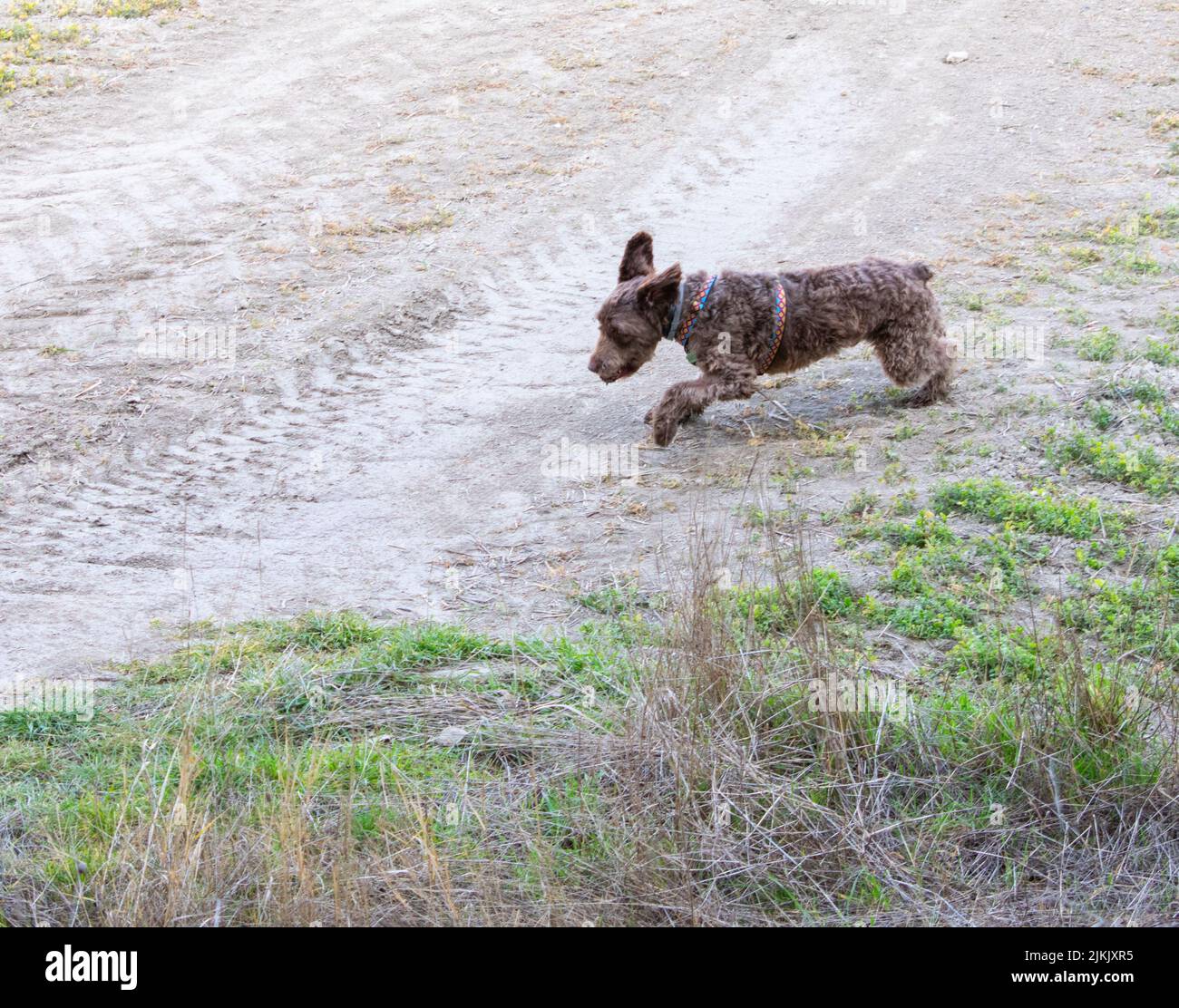 Unpaved way hi-res stock photography and images - Alamy