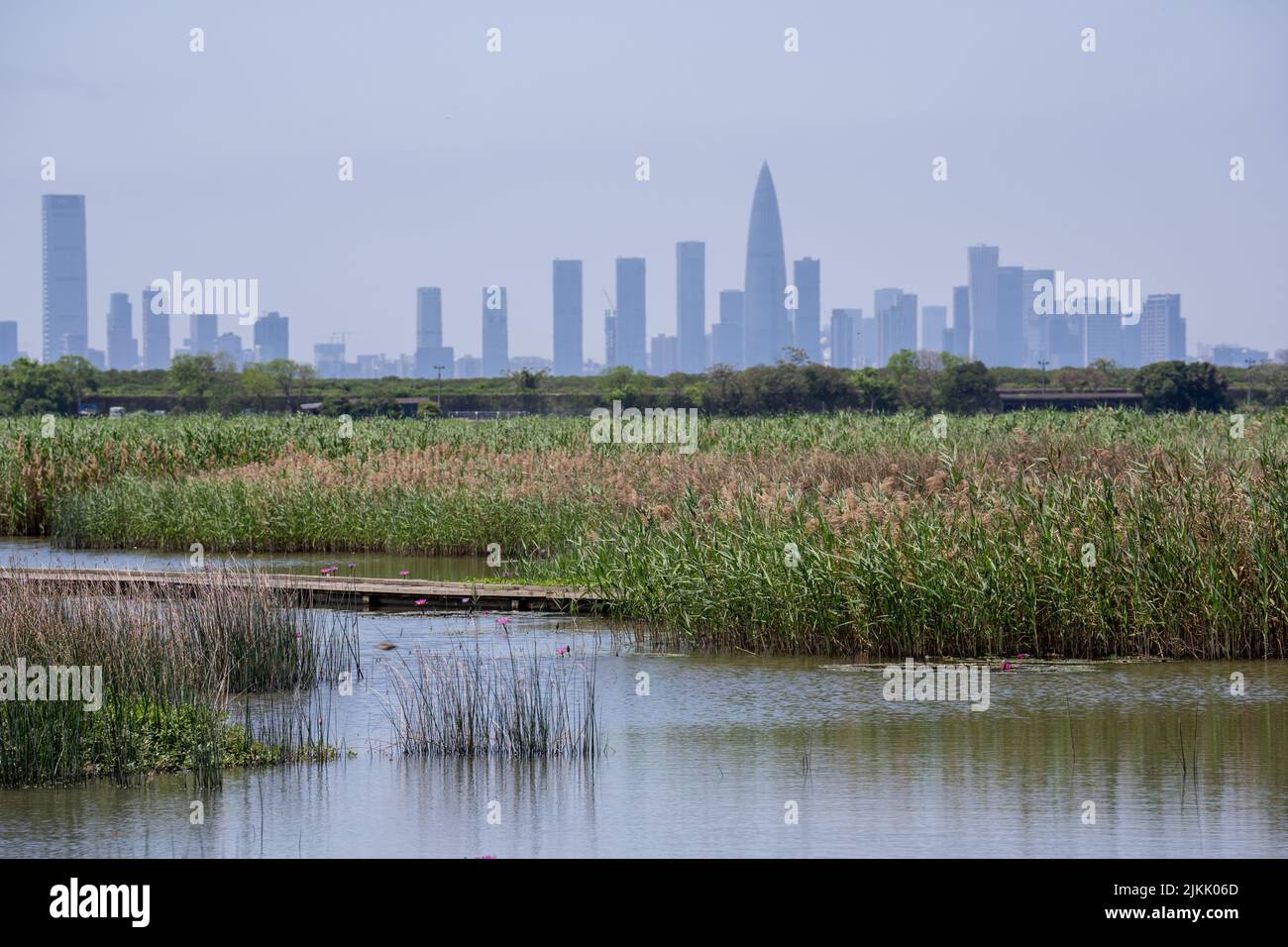 The Mai Po's wetlands in Hong Kong's nature reserve Stock Photo - Alamy