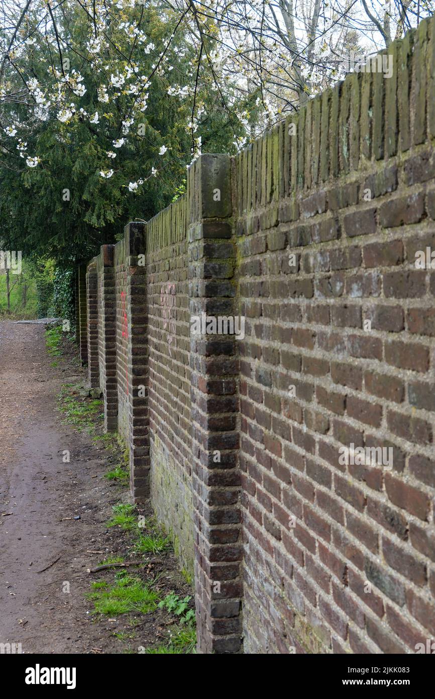 A vertical shot of a roadside brick wall and a tree in the background ...
