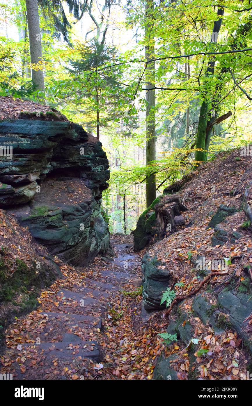 A road between rocks in a forest in Mullerthal, G.H. Luxembourg Stock ...