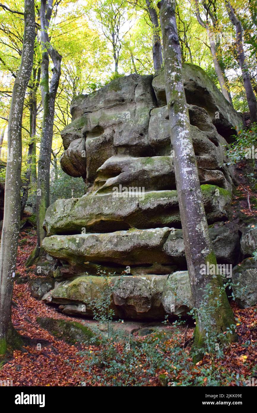 A pile of mossy stones in a dense forest in Mullerthal, G.H. Luxembourg ...