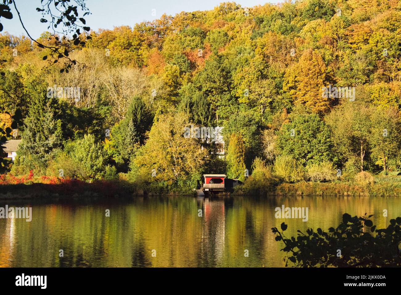 A lake with the reflection of the surrounding dense forest in the Eifel ...
