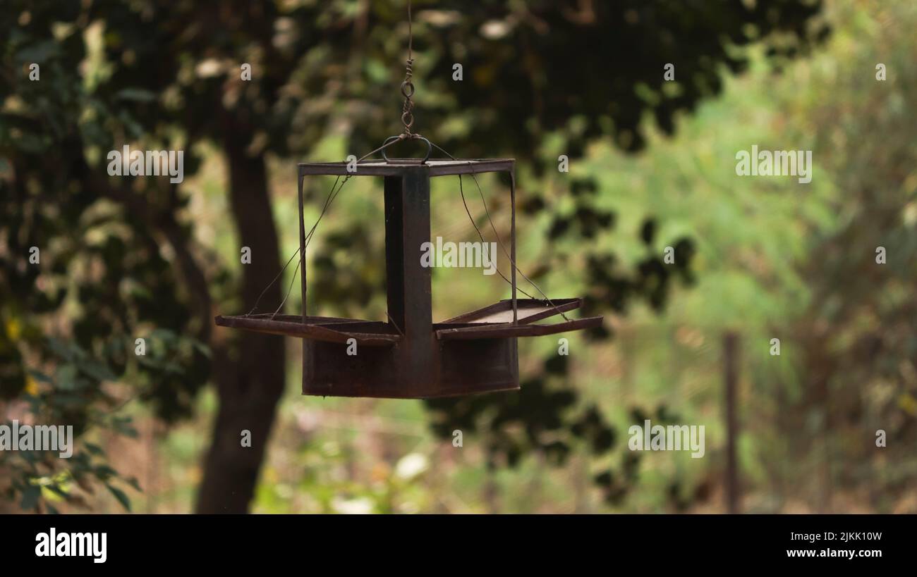 Garden hut tree hi-res stock photography and images - Alamy