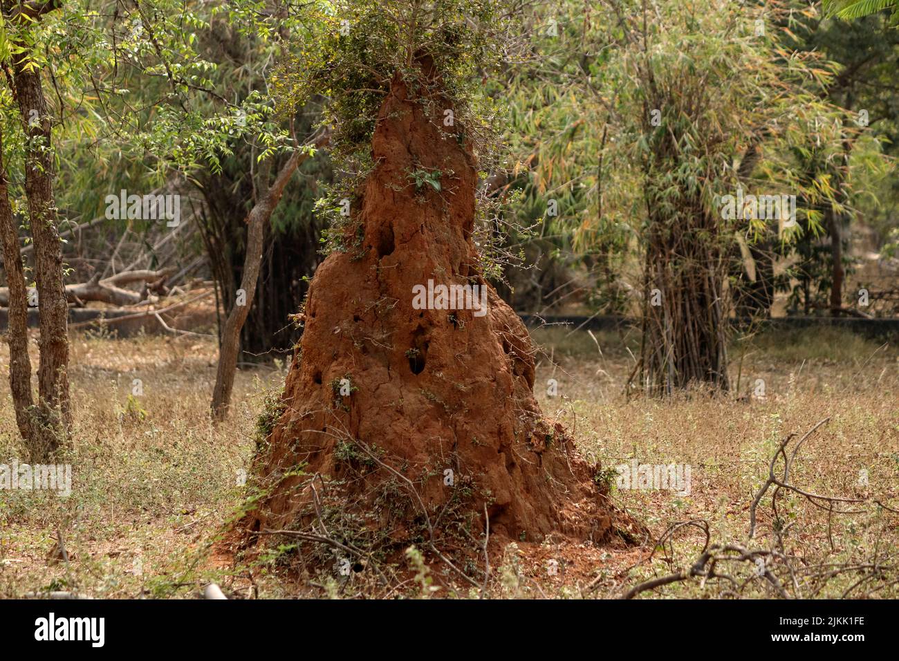 Summer summertime sun hi-res stock photography and images - Alamy