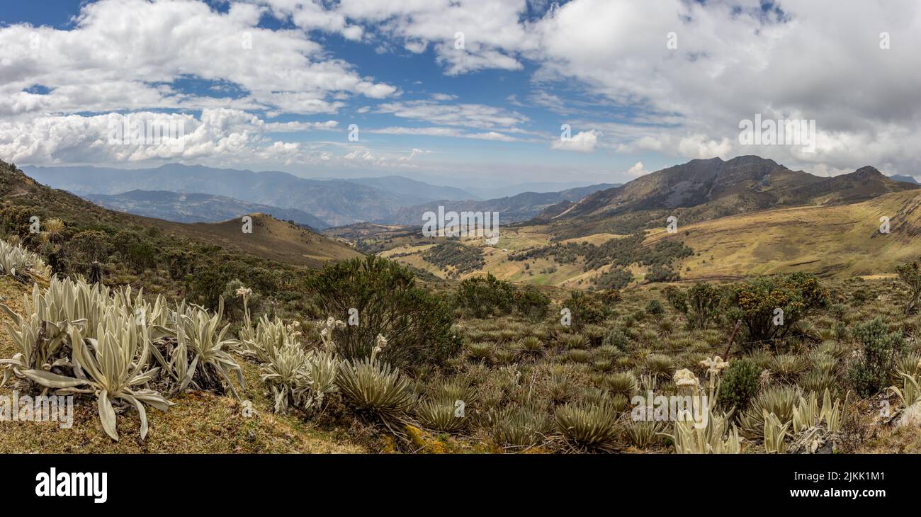 Colombian landscapes hi-res stock photography and images - Alamy