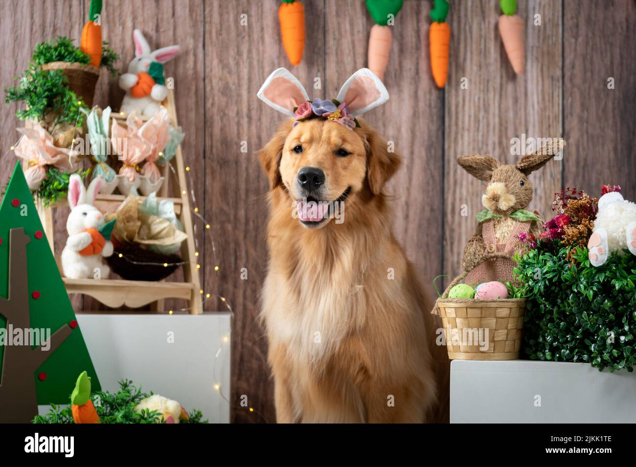 Ensaio pet tematico de Páscoa - Two Clicks Fotografia Stock Photo - Alamy
