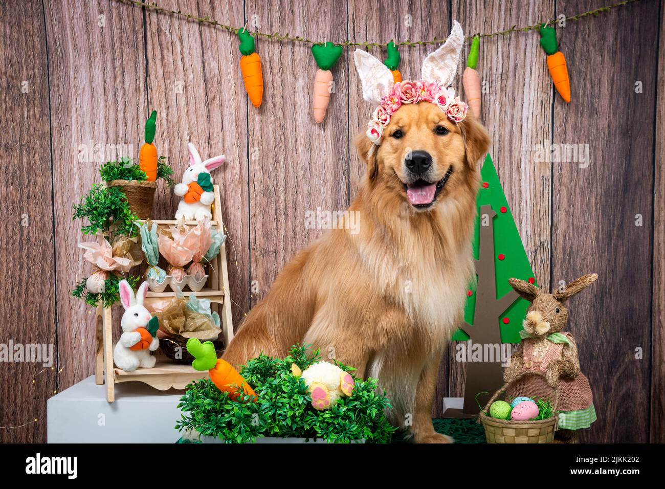 Ensaio pet tematico de Páscoa - Two Clicks Fotografia Stock Photo - Alamy