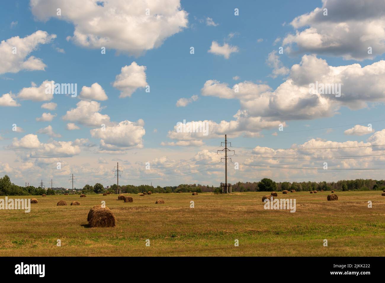 Some haystacks in the field, under a blue, cloudy sky, Gomel Stock ...