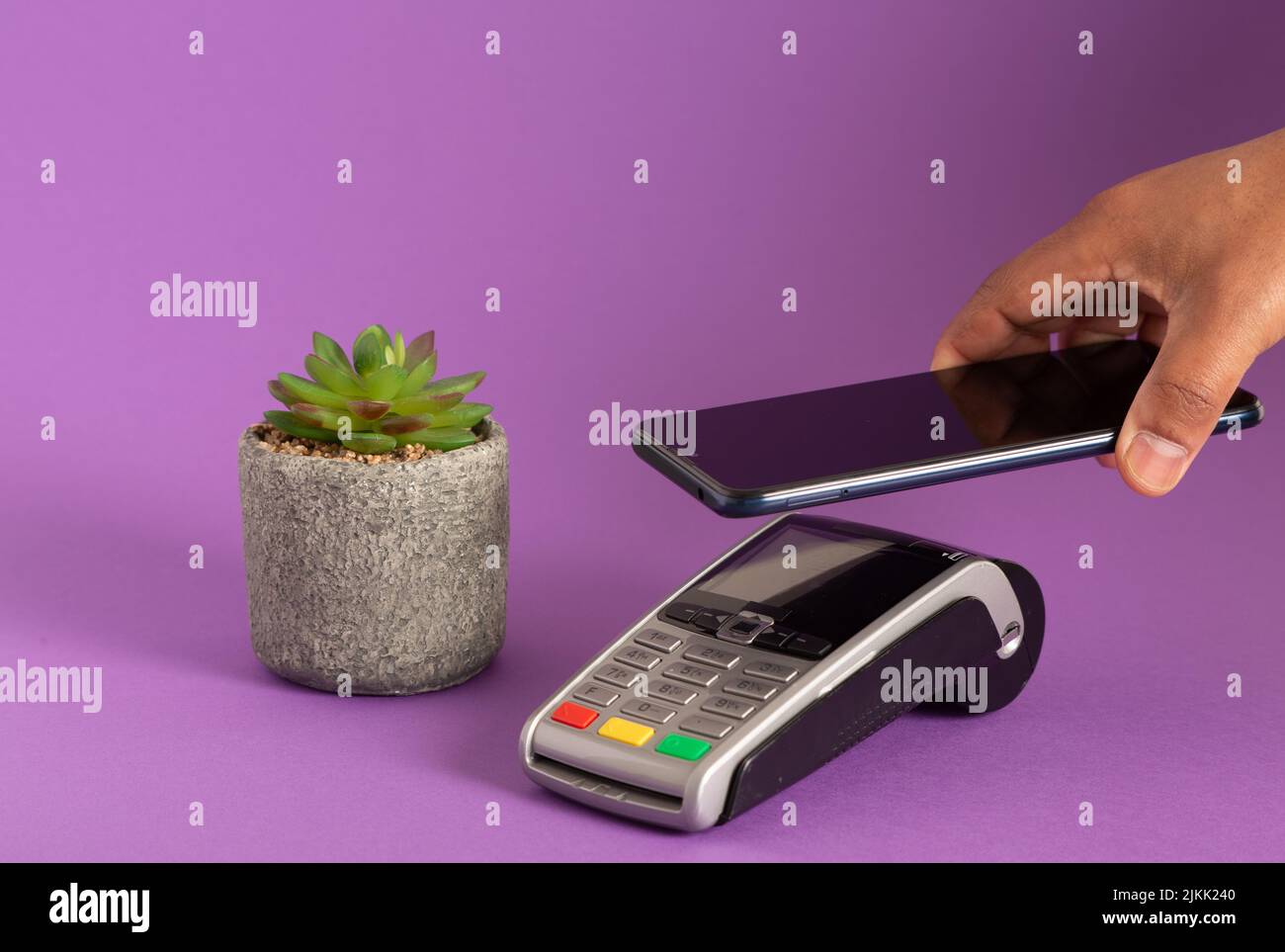 A person making payment with a wireless POS machine near a succulent ...