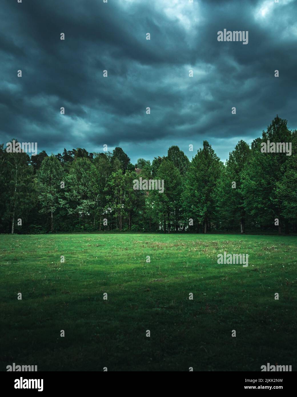 Aligned trees hi-res stock photography and images - Alamy