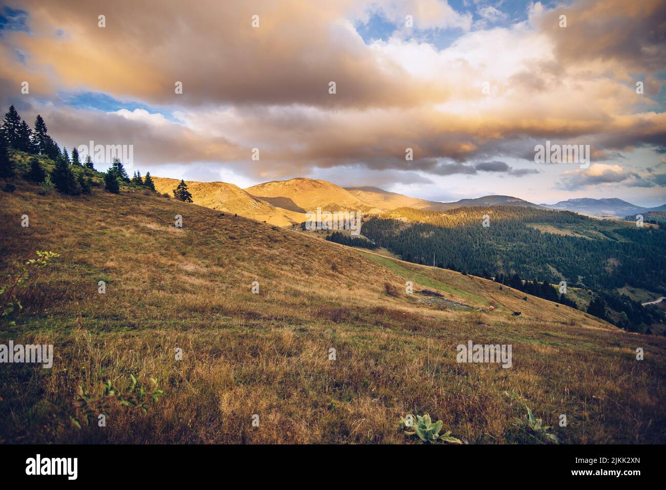 A beautiful landscape view of a large range and green mountains against ...