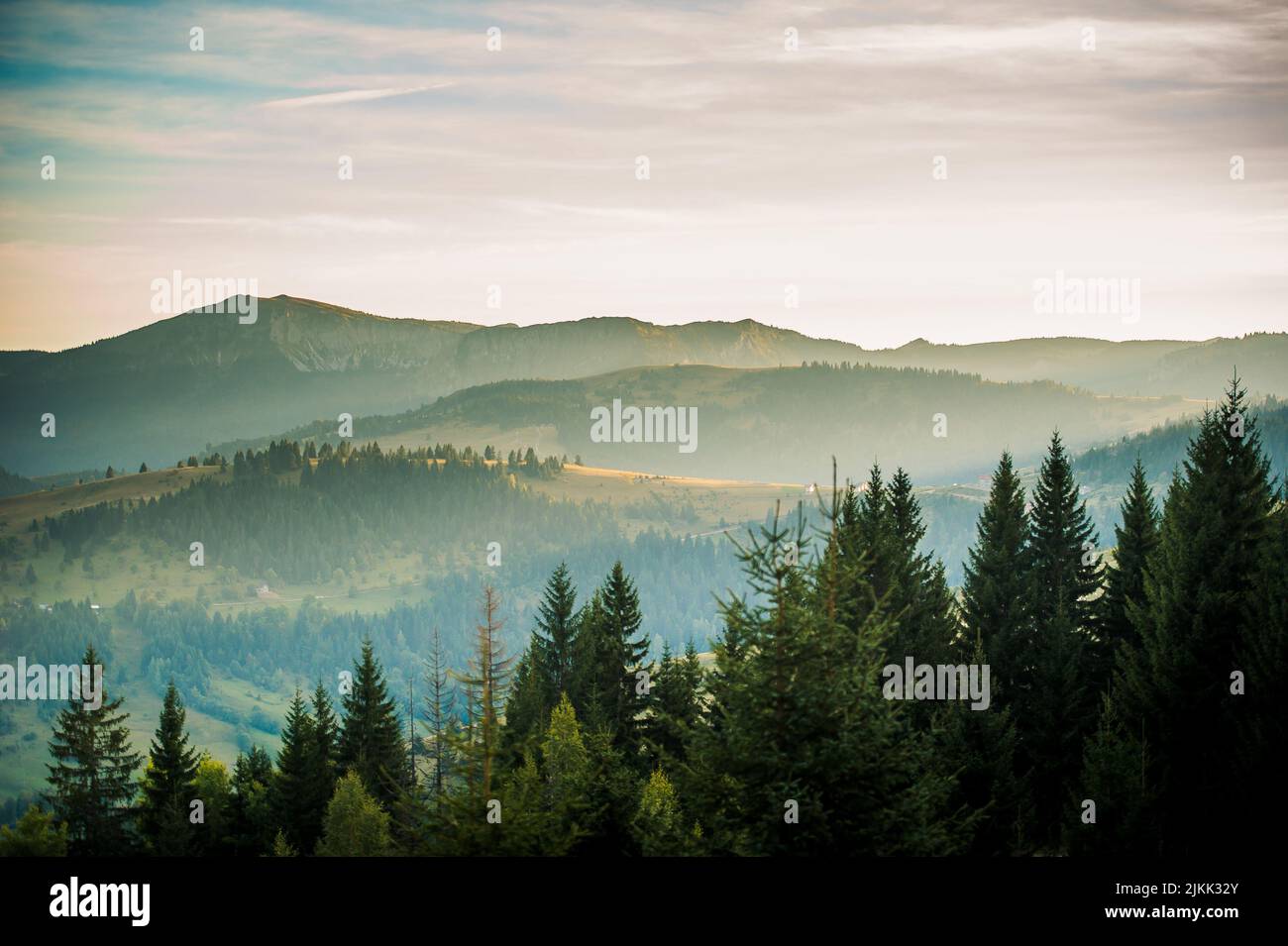 An aerial beautiful landscape view of forest trees and misty light ...