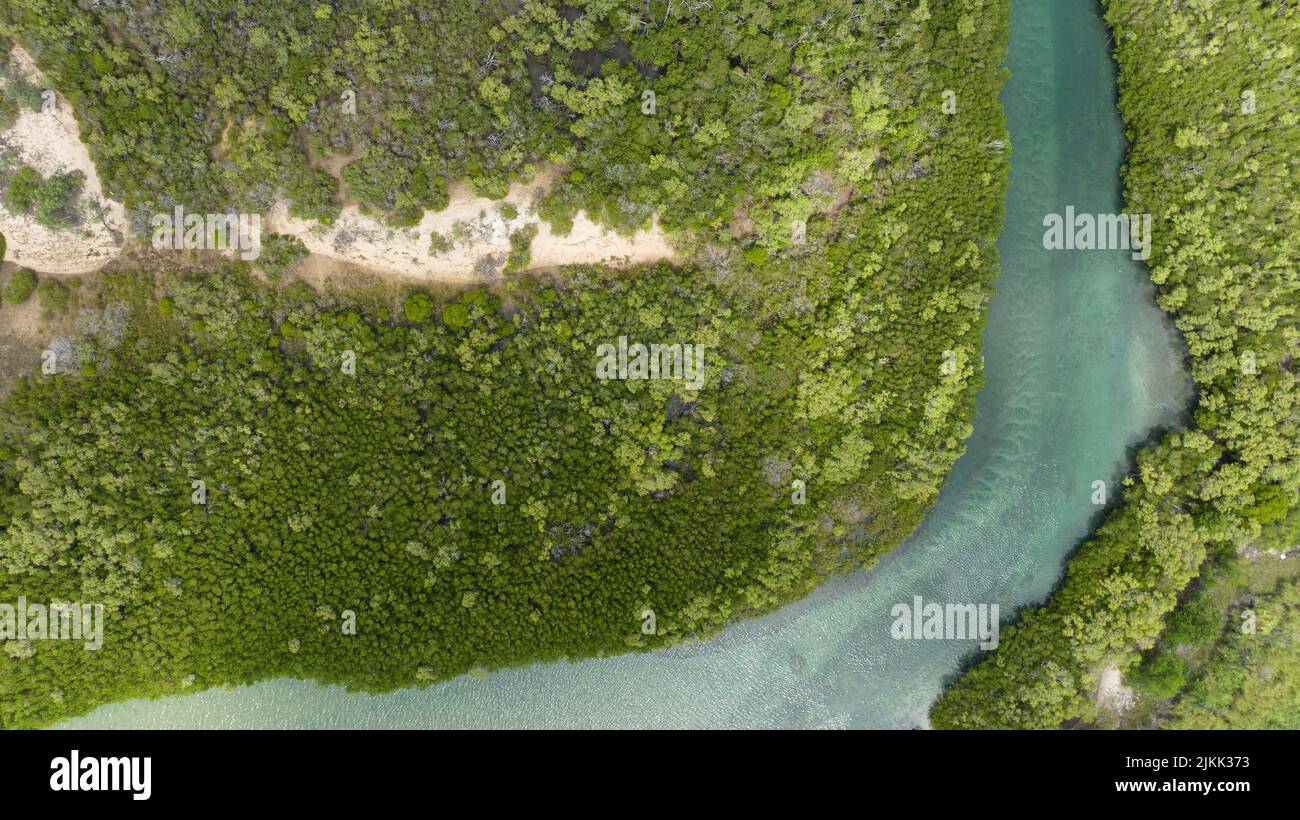 An aerial view of a beautiful river in the middle of a green landscape ...
