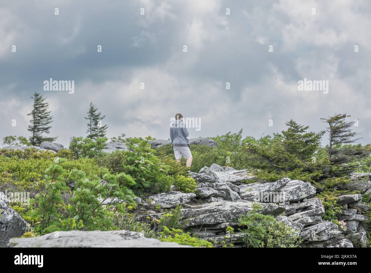 A back shot of a Young man hiking at the scenic Bear Rocks Area in ...