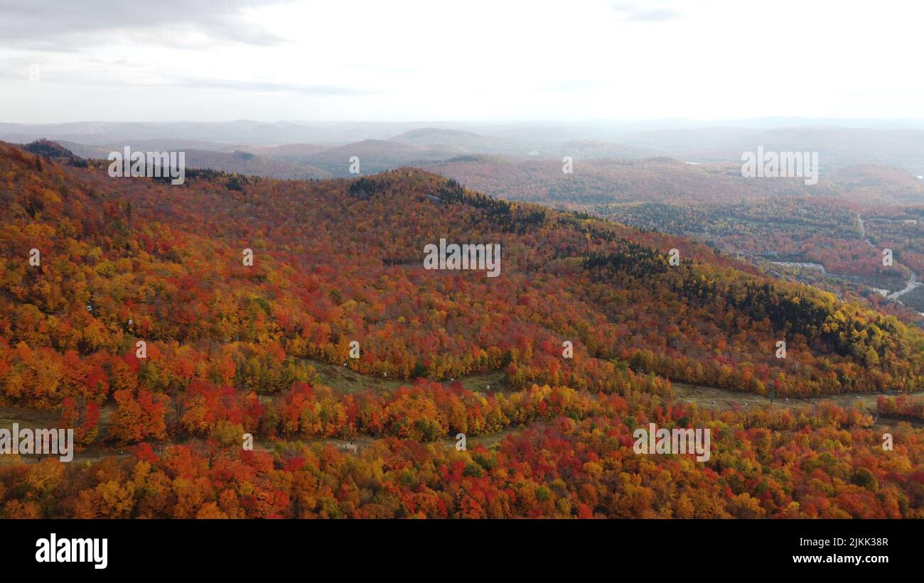 A drone shot of Canada Fall Autumn on Quebec Mountain Hill with cloudy ...