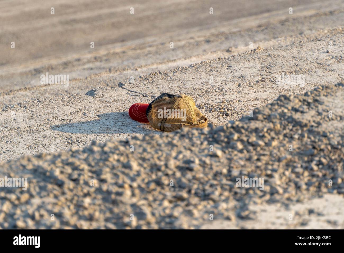 A beautiful shot of a Conch shell snail on the sandy beach with ...