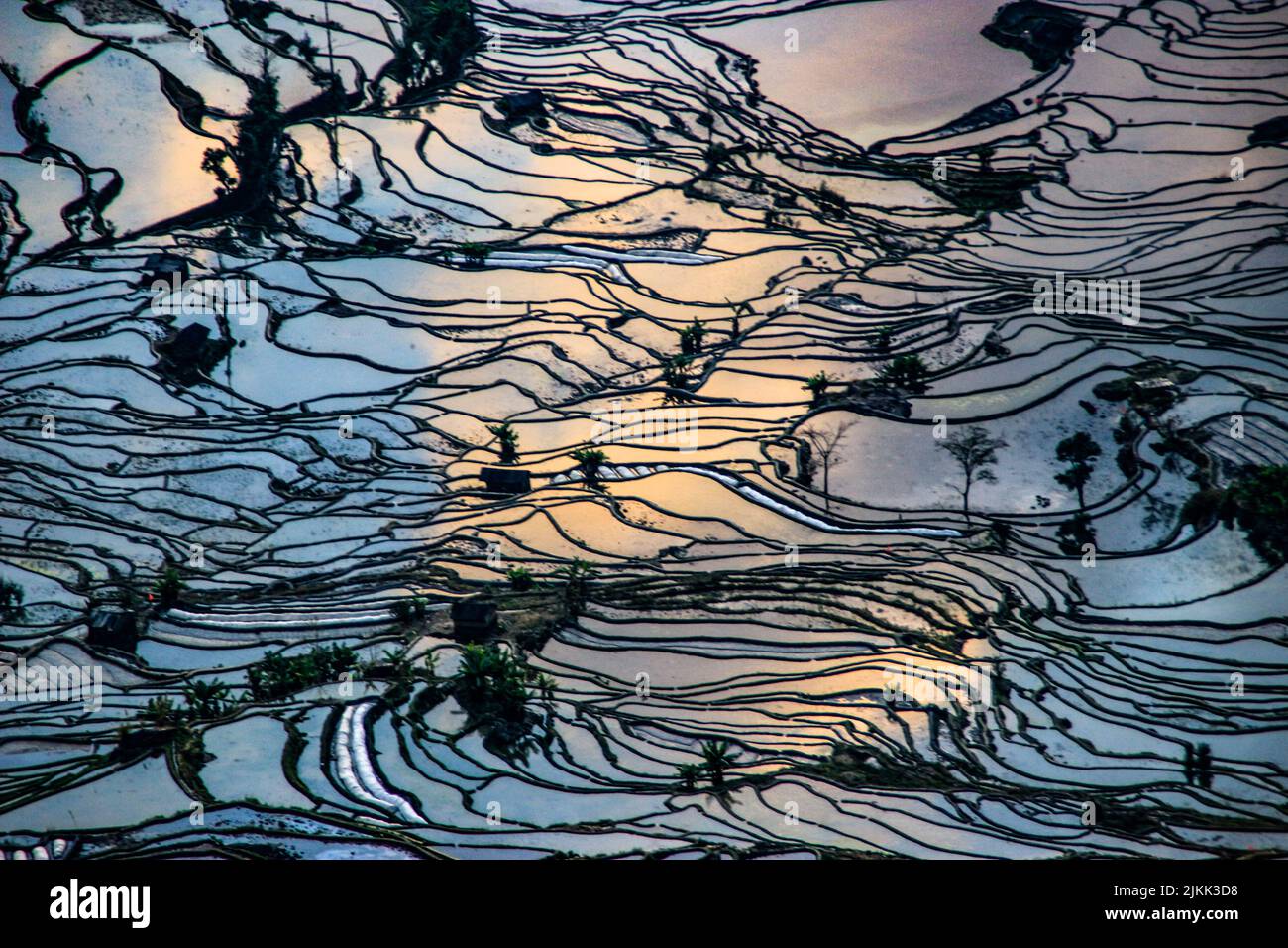 A beautiful aerial view of Yuanyang rice terraces in the daylight Stock ...