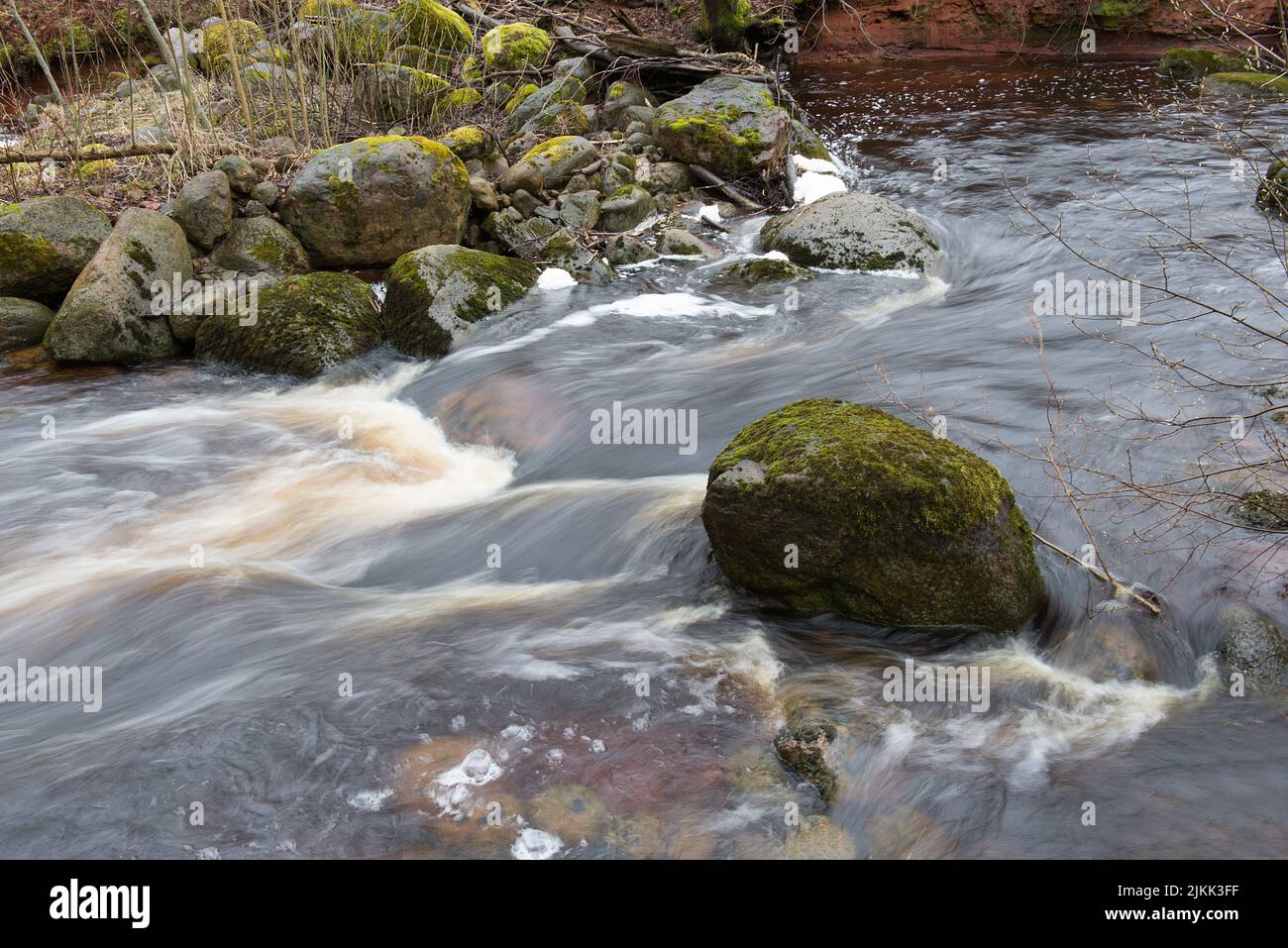 The Salaca river flows over mossy stones, Latvia Stock Photo - Alamy
