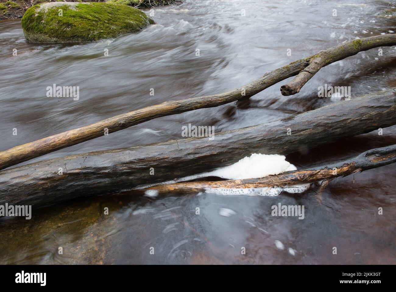 The Salaca river flows over mossy stones, Latvia, Staicele Stock Photo ...