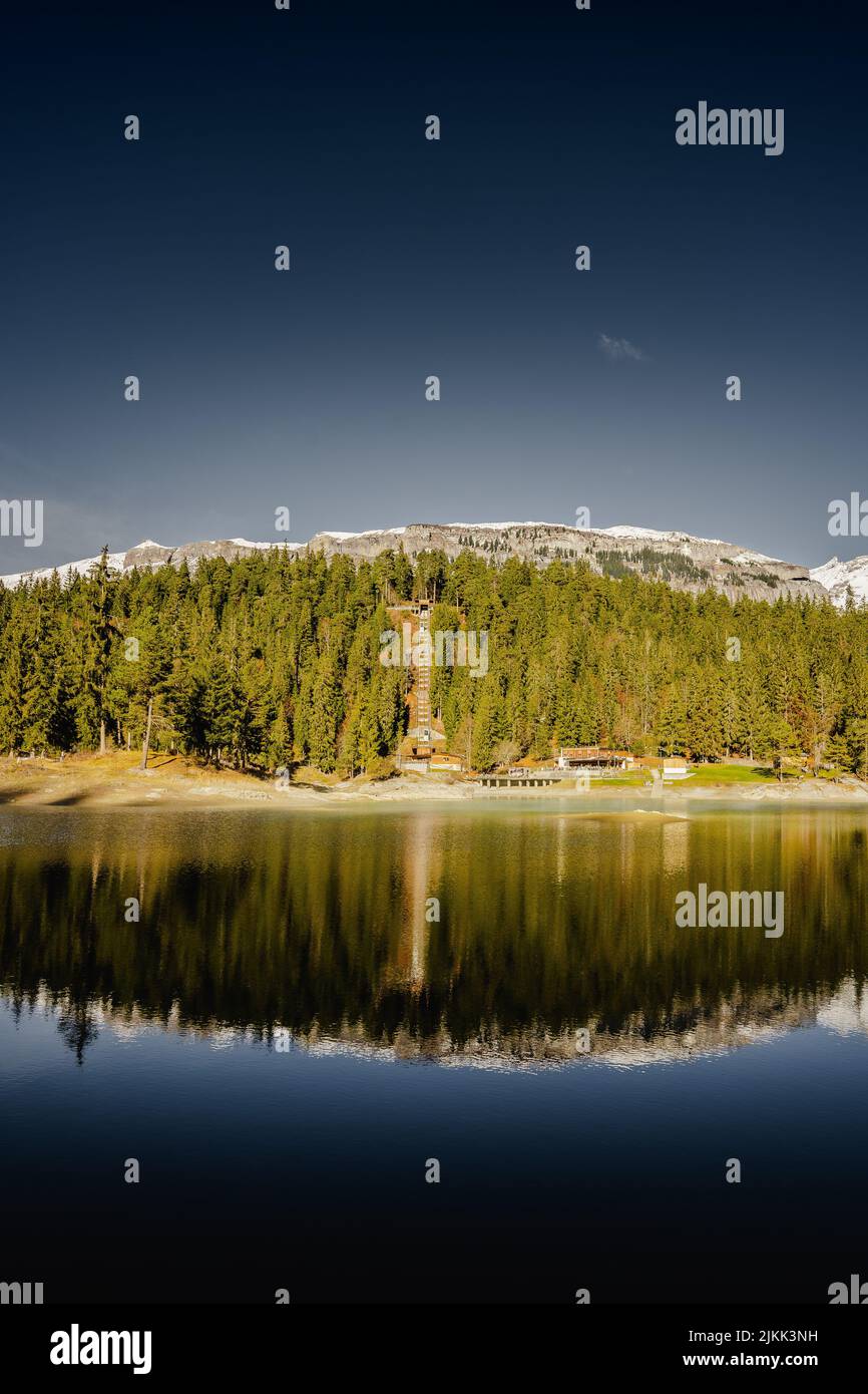 A vertical photo of nature in Caumasee lake near Flims, in the Grisons ...