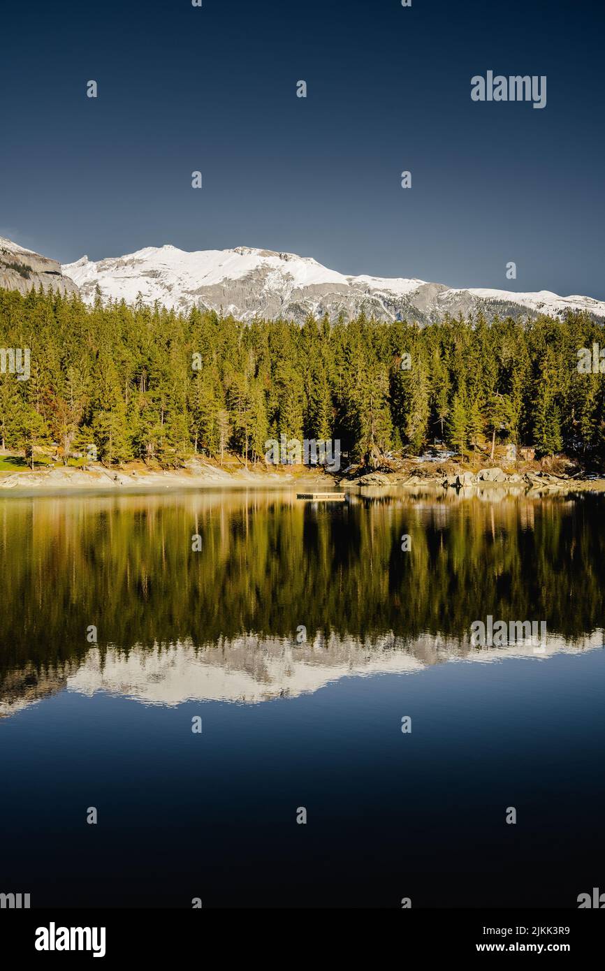 A vertical photo of snowy mountain and trees in Caumasee lake near ...