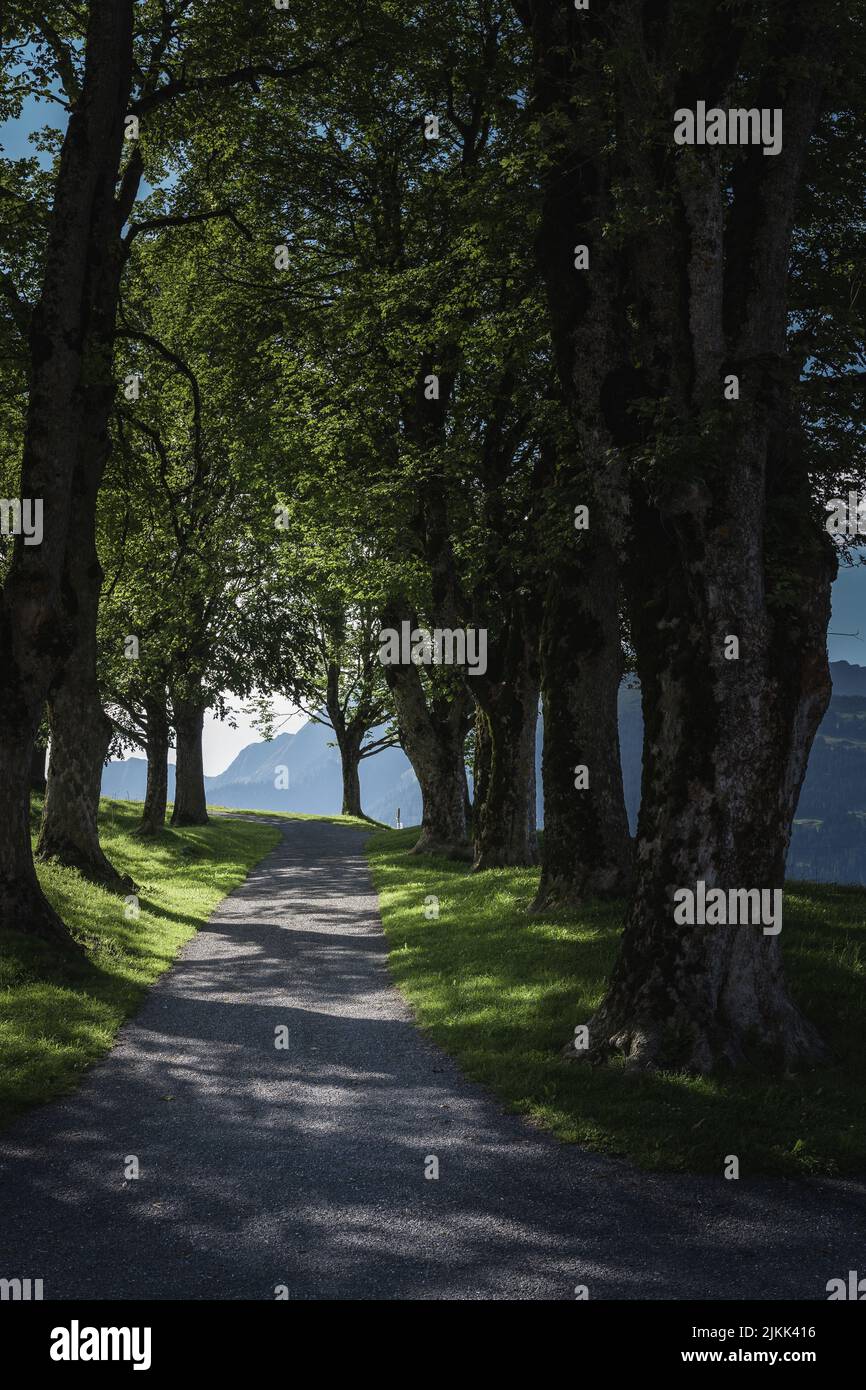 Surselva glacier hi-res stock photography and images - Alamy