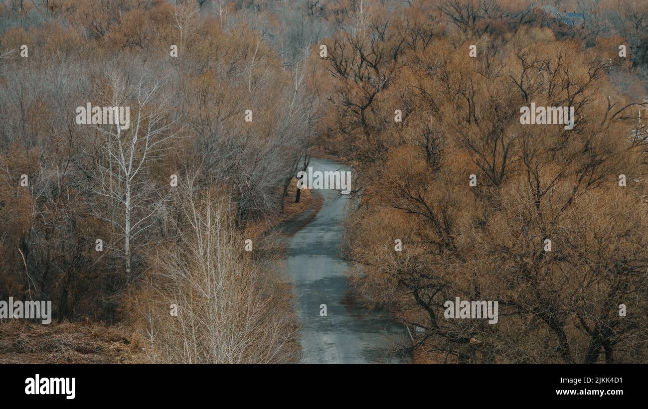 A narrow road passing through trees with fall leaves Stock Photo - Alamy