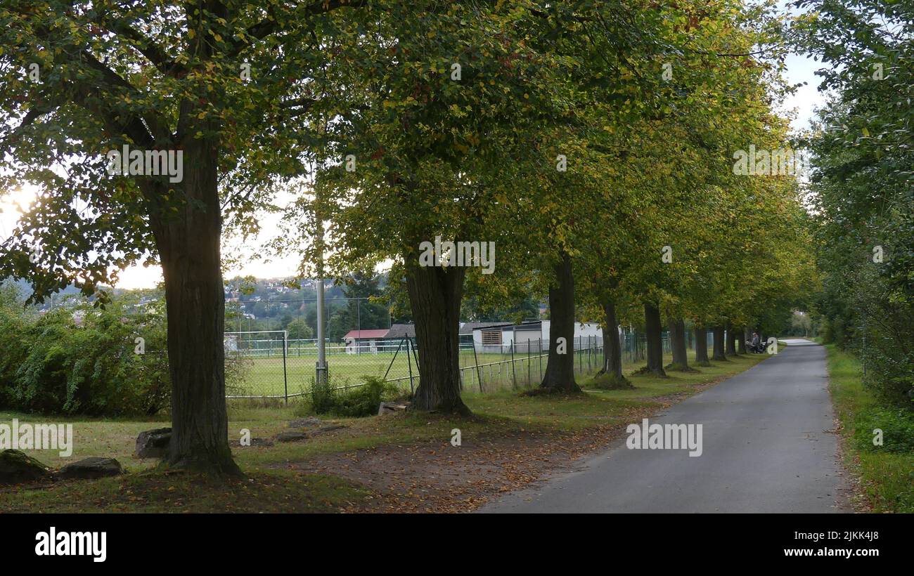 Roadside trees hi-res stock photography and images - Alamy