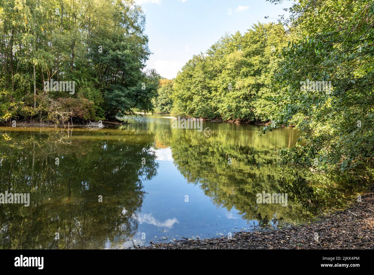lake in germany with trees and reflection in water Stock Photo - Alamy