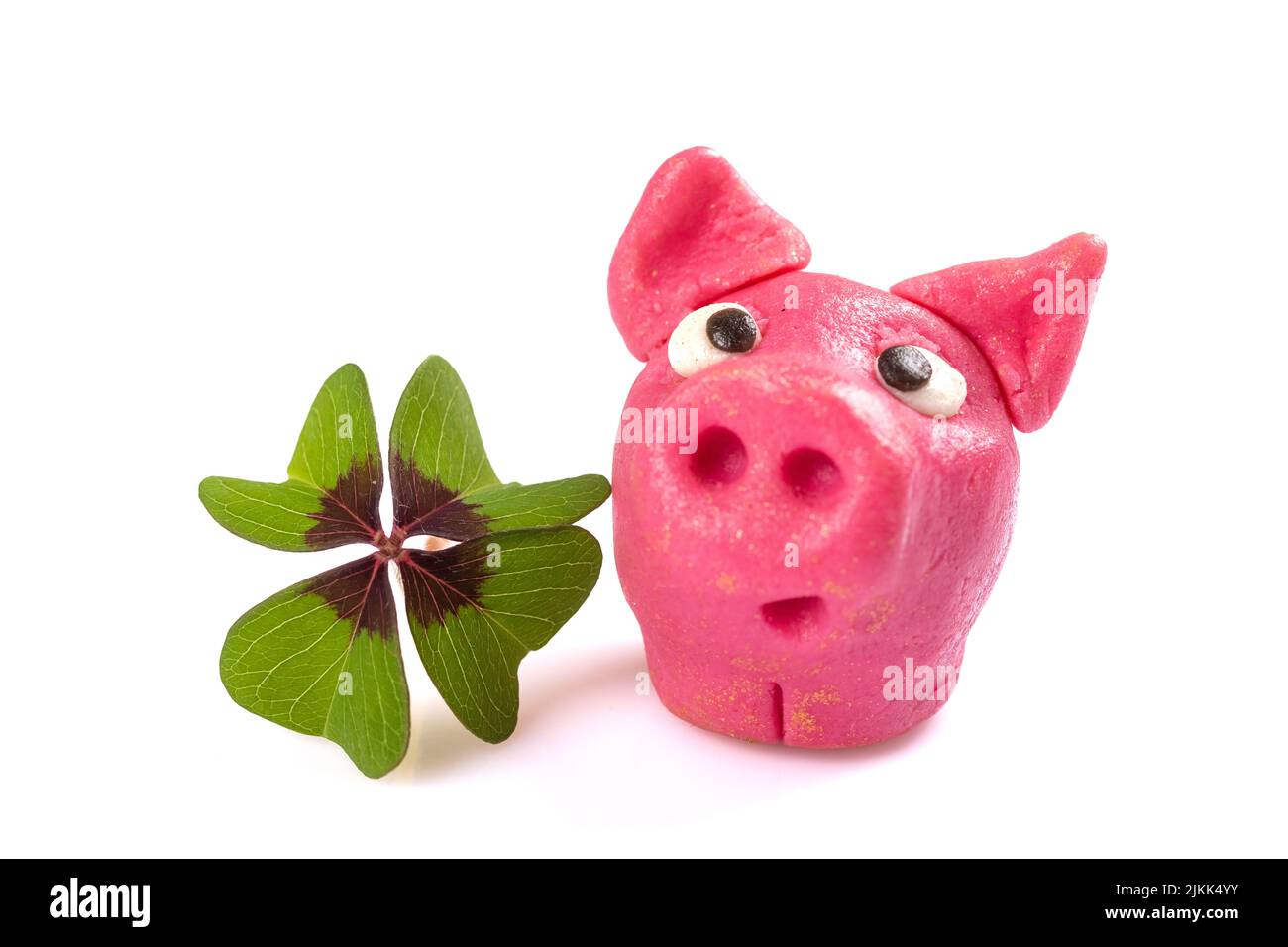 green shamrock with lucky pig sign for happiness isolated on white ...