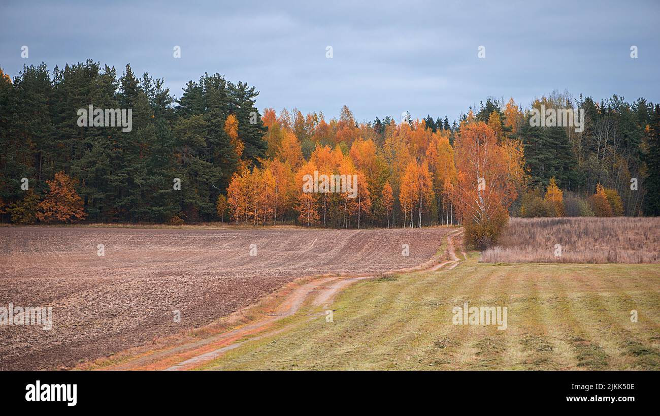 A scenic landscape of the farm field during autumn Stock Photo - Alamy