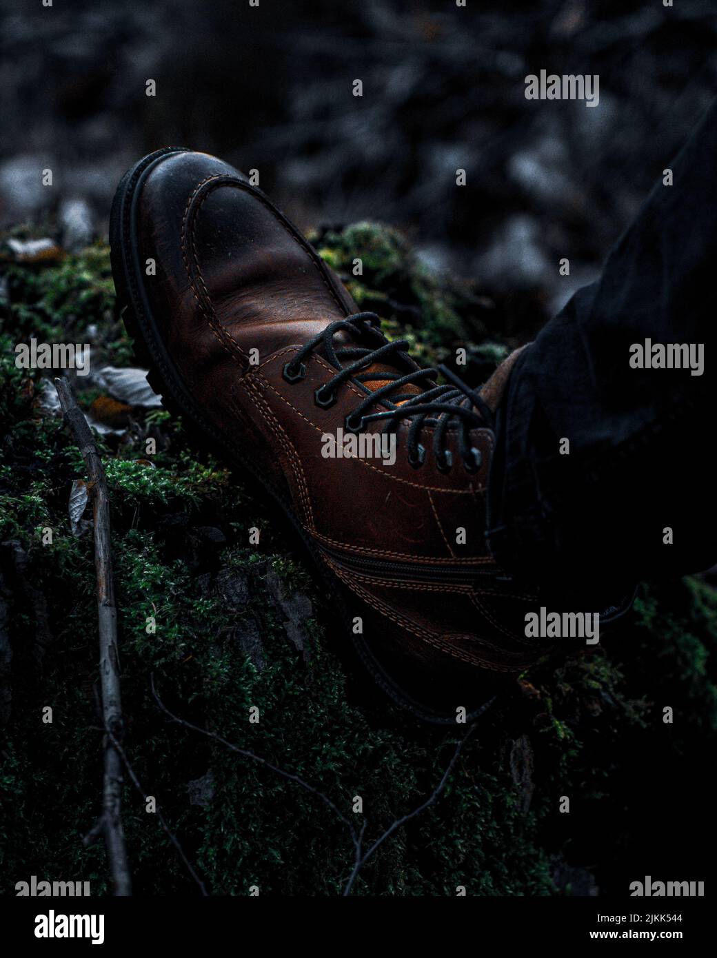 A vertical shot of the foot of a male stepping on a mossy rock Stock ...