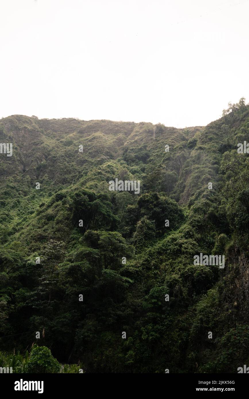The beautiful nature of Colombia Stock Photo - Alamy