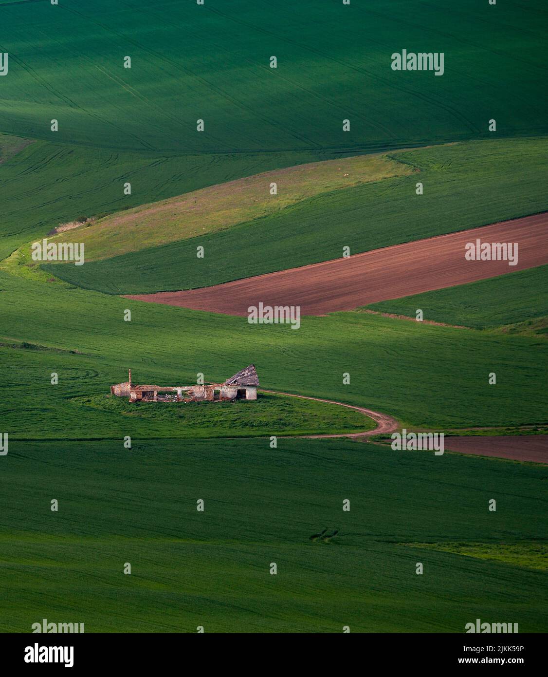 Vertical farm view hi-res stock photography and images - Alamy