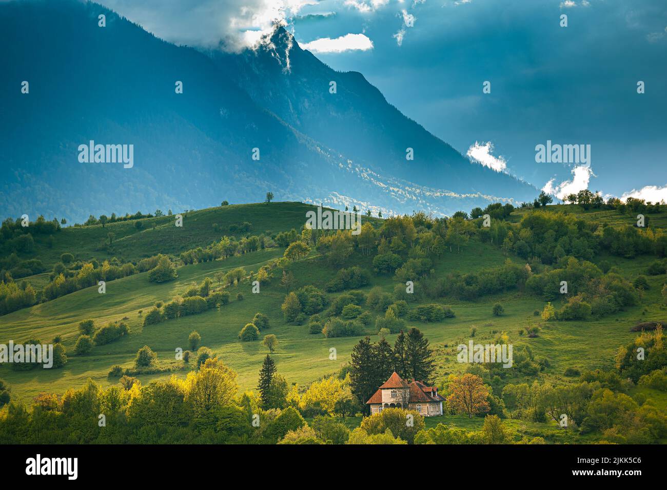 The beautiful summer landscape with a small house in the green vale ...