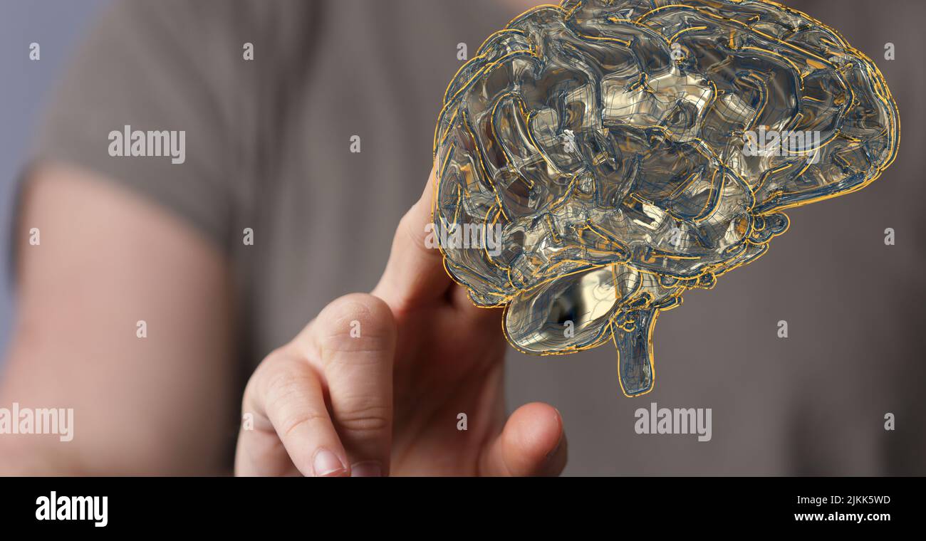A finger touching a 3d illustration of the human brain - the concept of ...